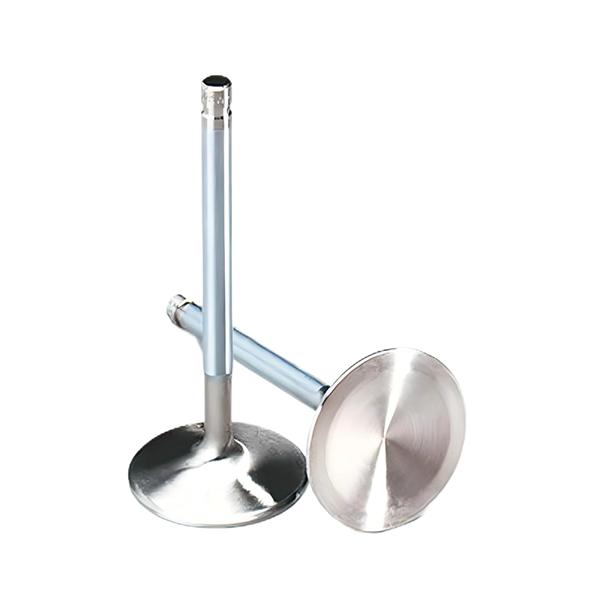 Intake & Exhaust Valve – ACRO B2B Spare Parts